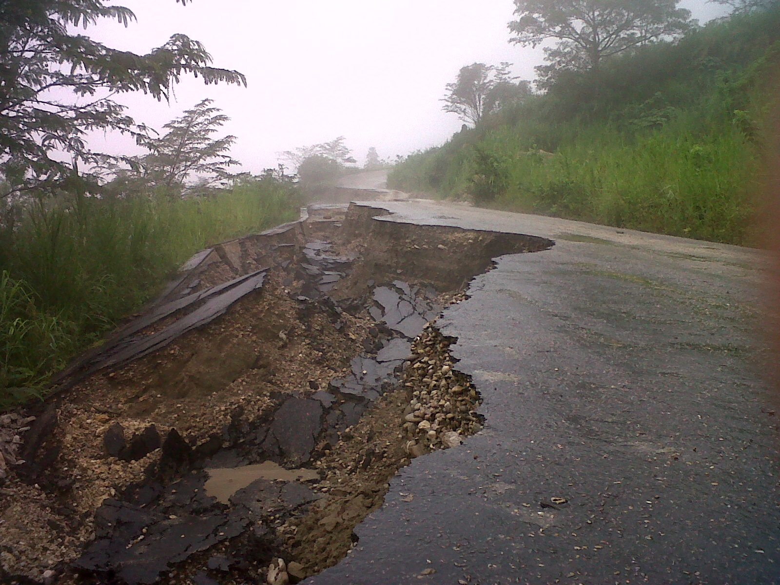 GRANJA EL LIMON, MPIO. DE AMATAN, CHIAPAS EL SEXENIO DEL CAMPO ...
