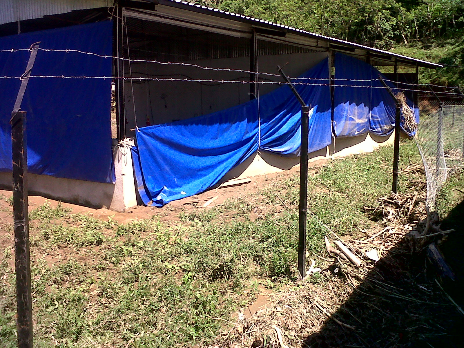 GRANJA EL LIMON, MPIO. DE AMATAN, CHIAPAS EL SEXENIO DEL CAMPO ...