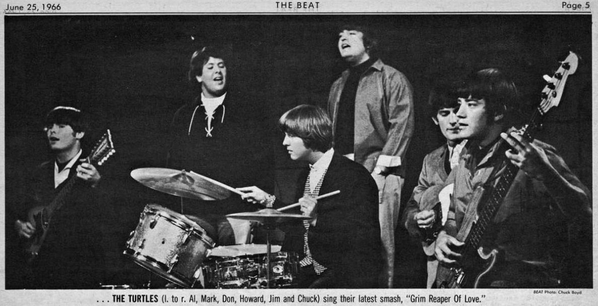 My Collections: The Turtles