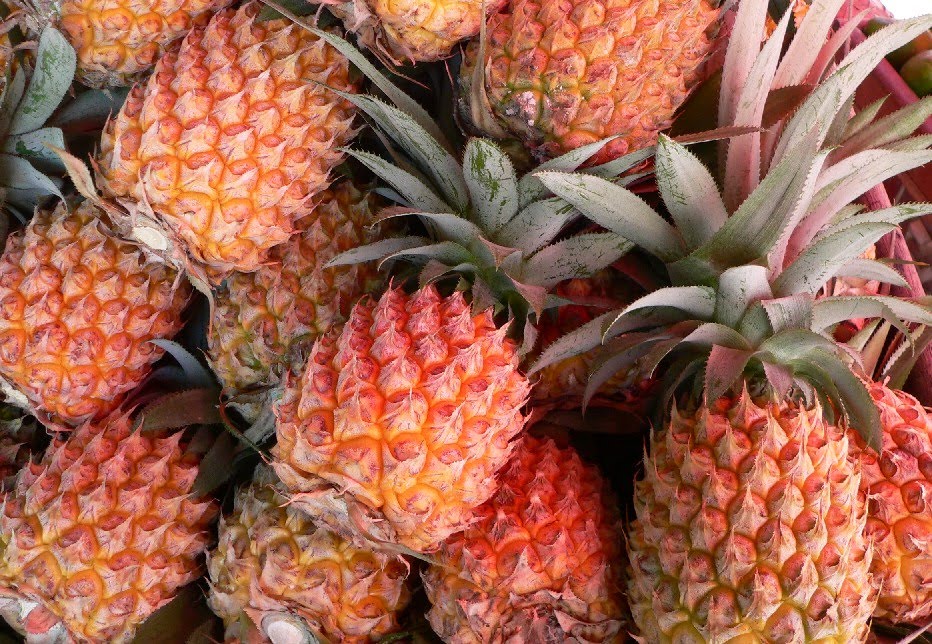 Outras Comidas: Ananases, "abacaxis" e carne tenra
