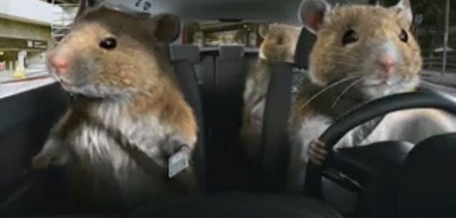 Kia Soul hamster commercial named Automotive TV Ad of the Year ~ This ...
