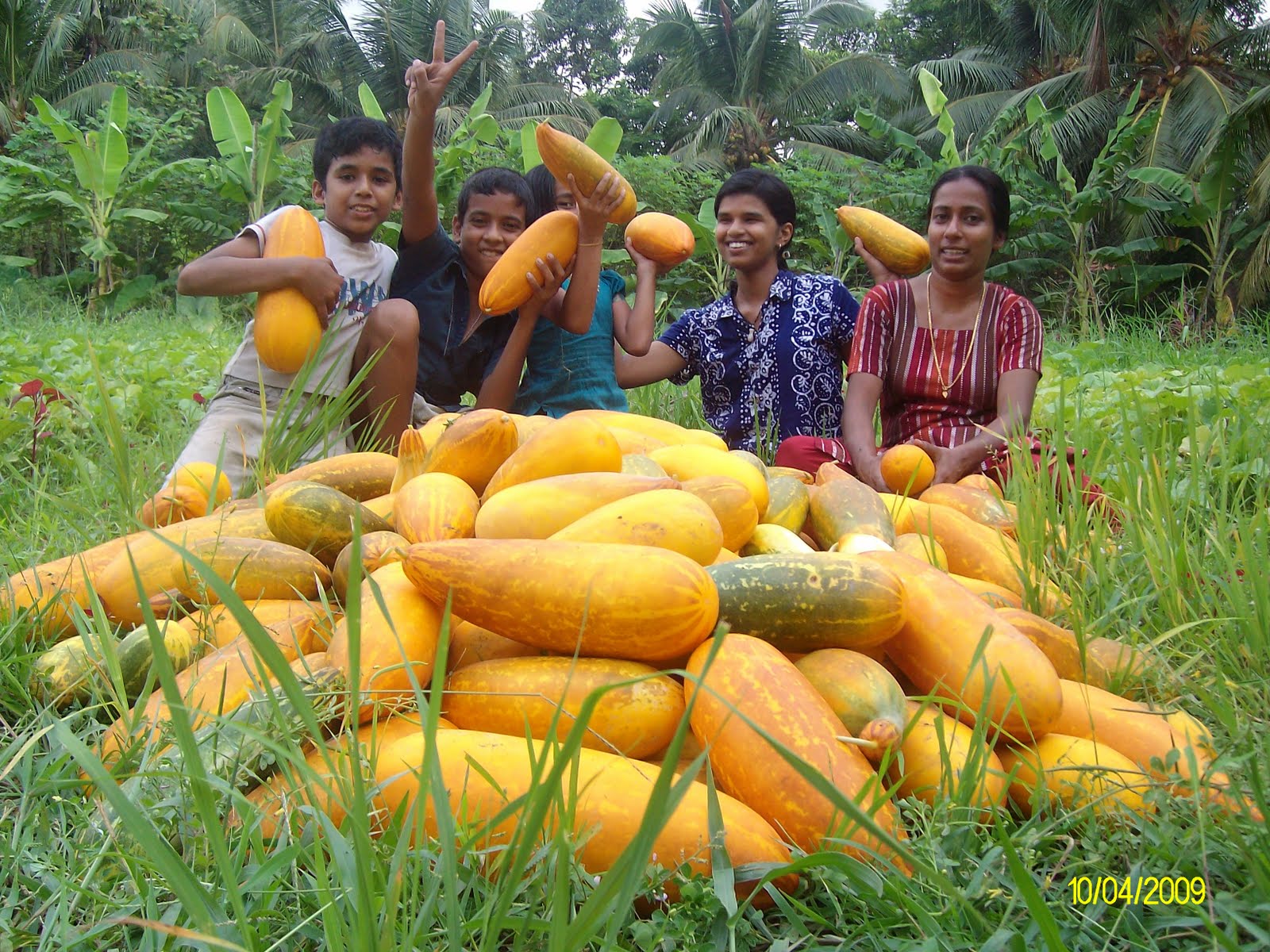 swami's album: Vellari