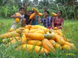 swami's album: Vellari