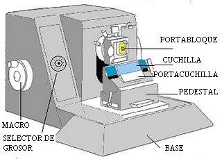El Blog de Laboratorio: PTP ACTIVIDADES TEMA 5 EL MICROTOMO