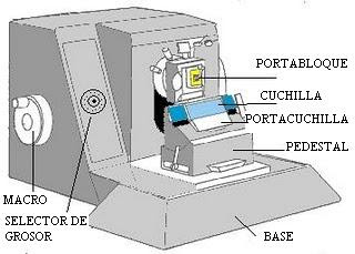 El Blog de Laboratorio: PTP ACTIVIDADES TEMA 5 EL MICROTOMO