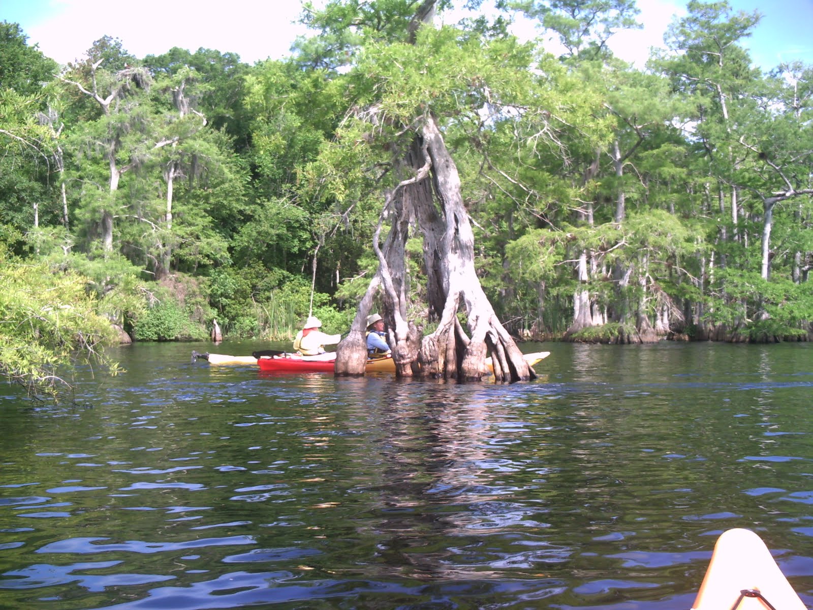 Roger's Florida: Lake Norris kayaking