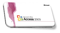 Reflecting: Microsoft Access.....Northwind insegna!