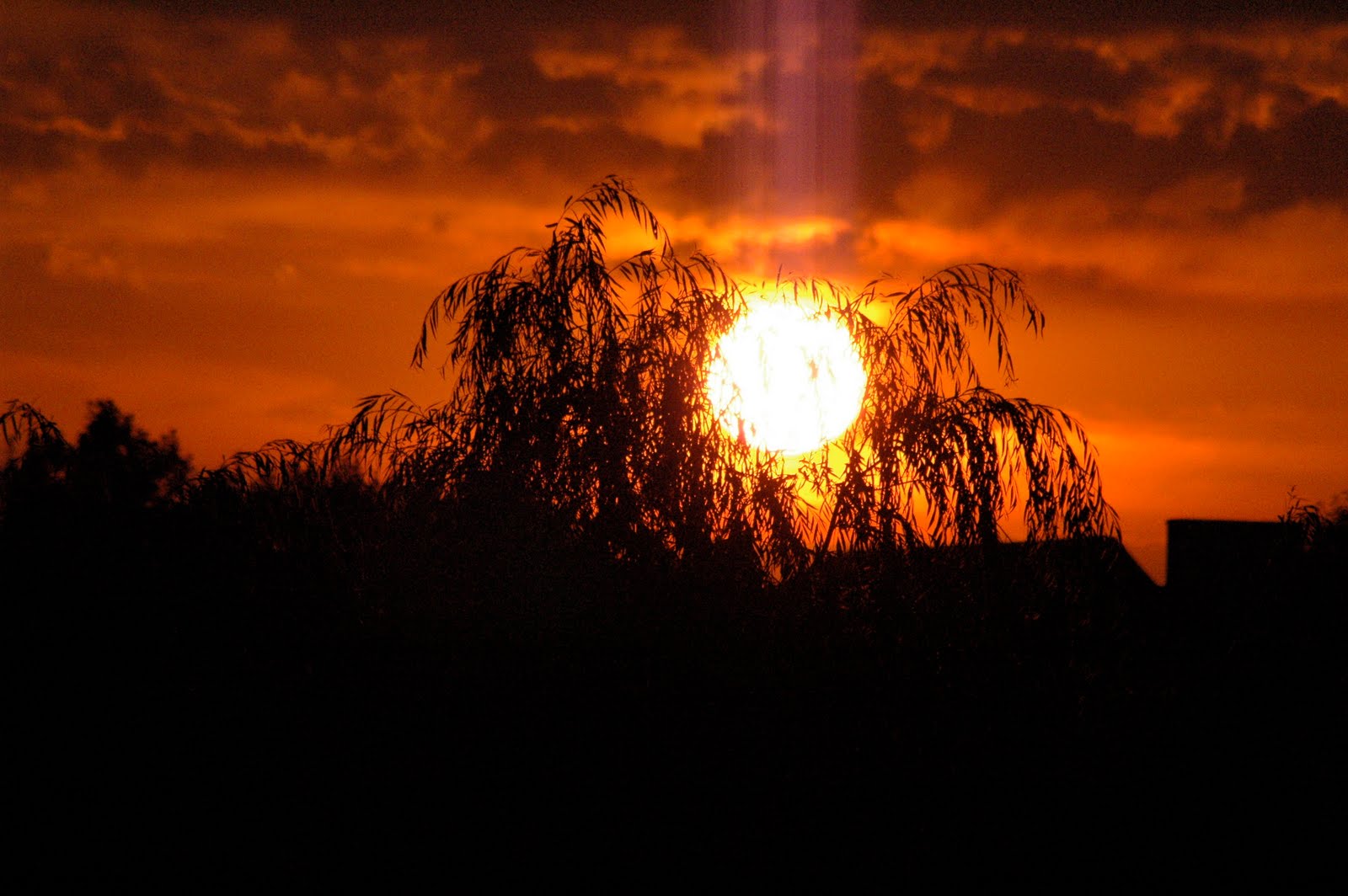From Lens to Lens: Sunset Ball Dropping July 2007