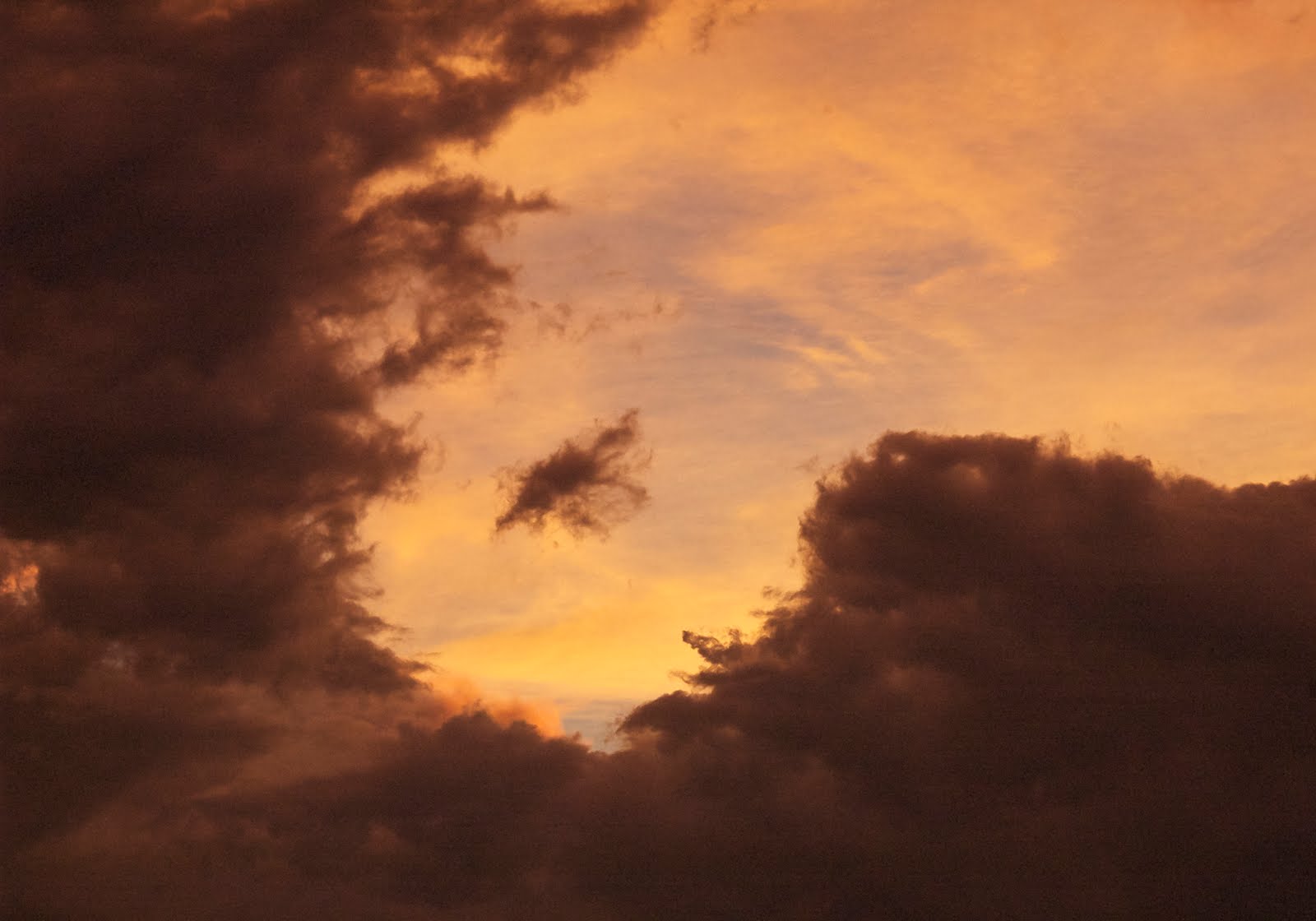 From Lens to Lens: July 2010