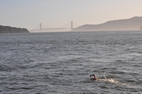 Very Cool New Open Water Swimming Federation – World Open Water ...