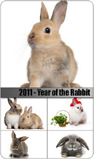 ! RABBIT IN THE WEB !: Rabbit 101 Part 3