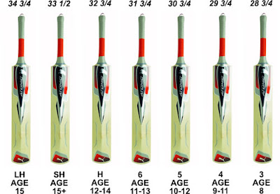 Cricket 360: Cricket Bat Size Guide