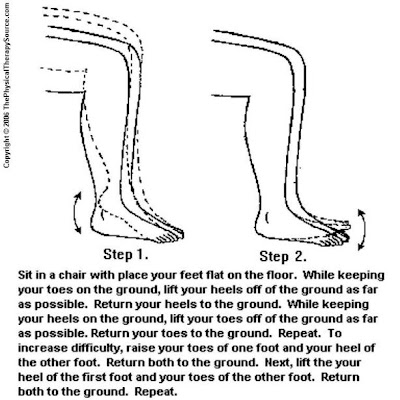 Ankle Exercises from ThePhysicalTherapySource.com: Ankle - Toe Raises ...
