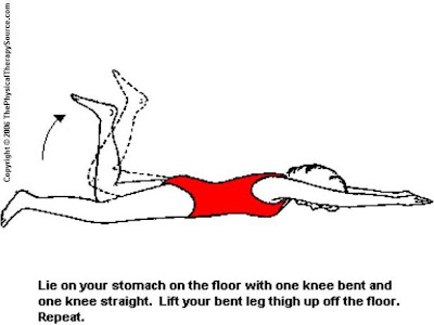 Trunk / Pelvis Exercises from ThePhysicalTherapySource.com: Trunk ...