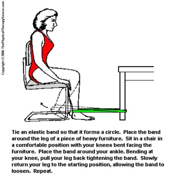 Hip / Knee Exercises from ThePhysicalTherapySource.com: Hip/Knee ...