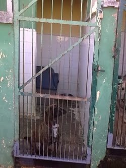 Zeus In Memoriam: 4Chan y 420Chan punto de encuentro de torturadores y ...