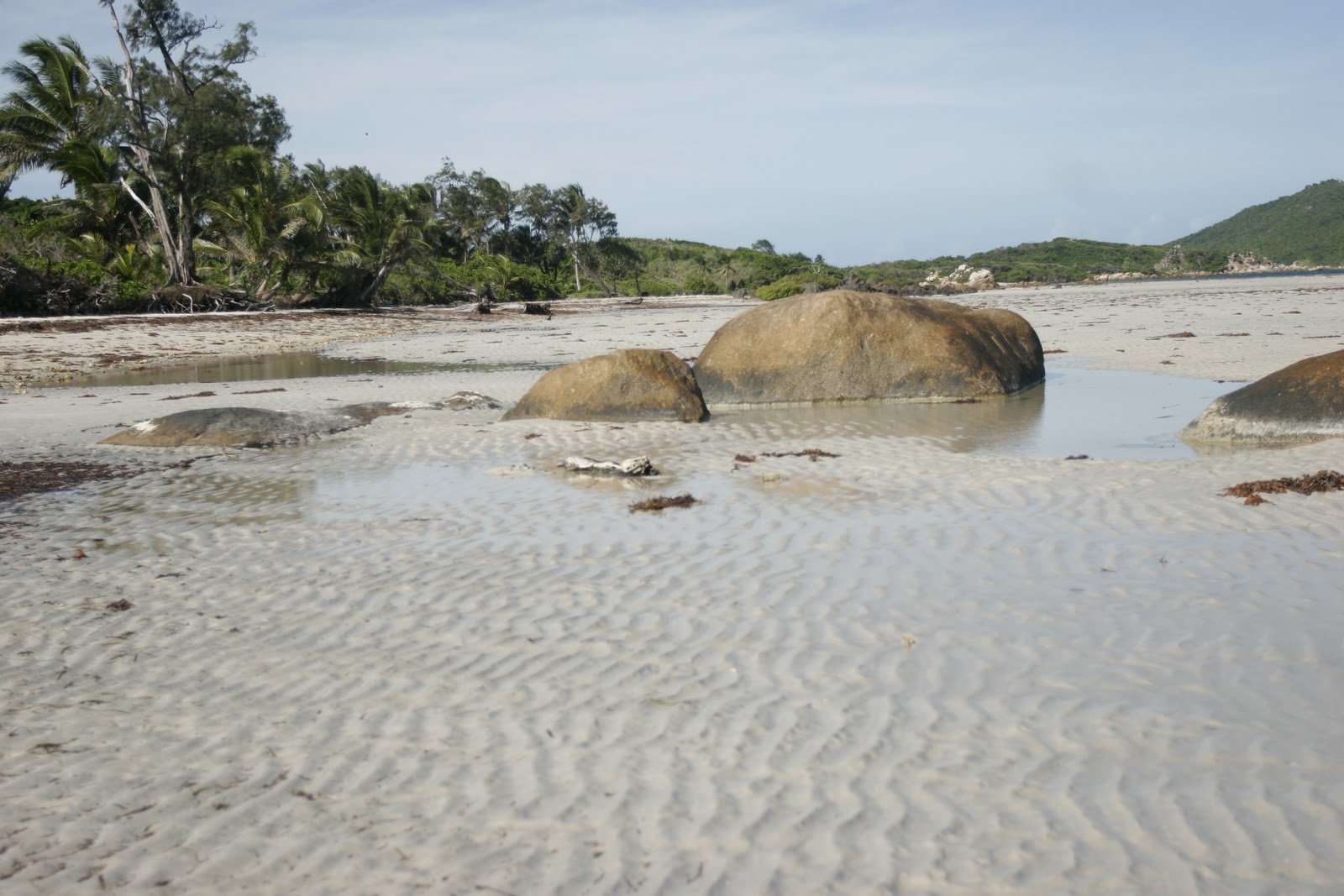 Adventures in Lockhart River: January 2011