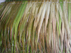 Atap Nipah (Untuk Tempahan)