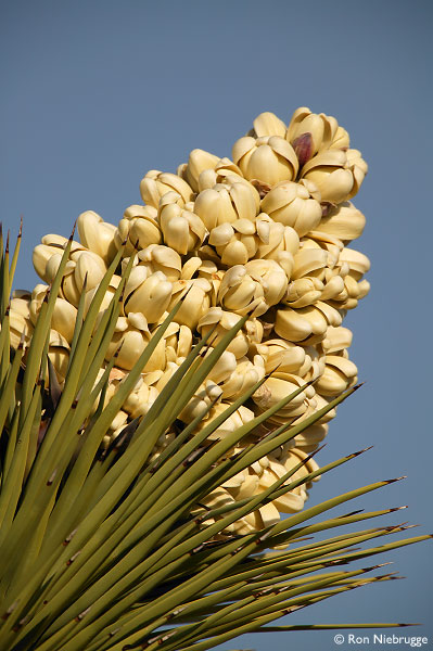 Living the Moment Fully