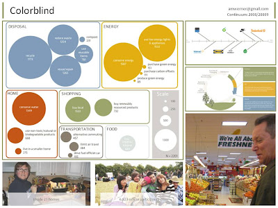 allison werner: Colorblind