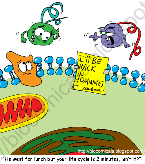 Biocomicals: December 2010