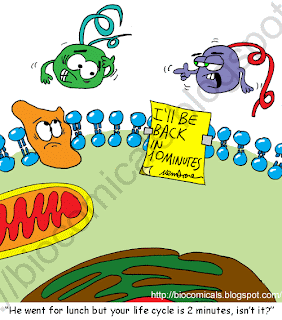 Biocomicals: December 2010