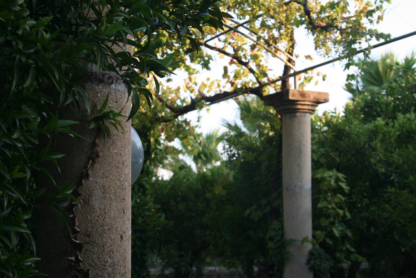 Villa San Vincenzo: James Gallimore - Pictures of the Garden