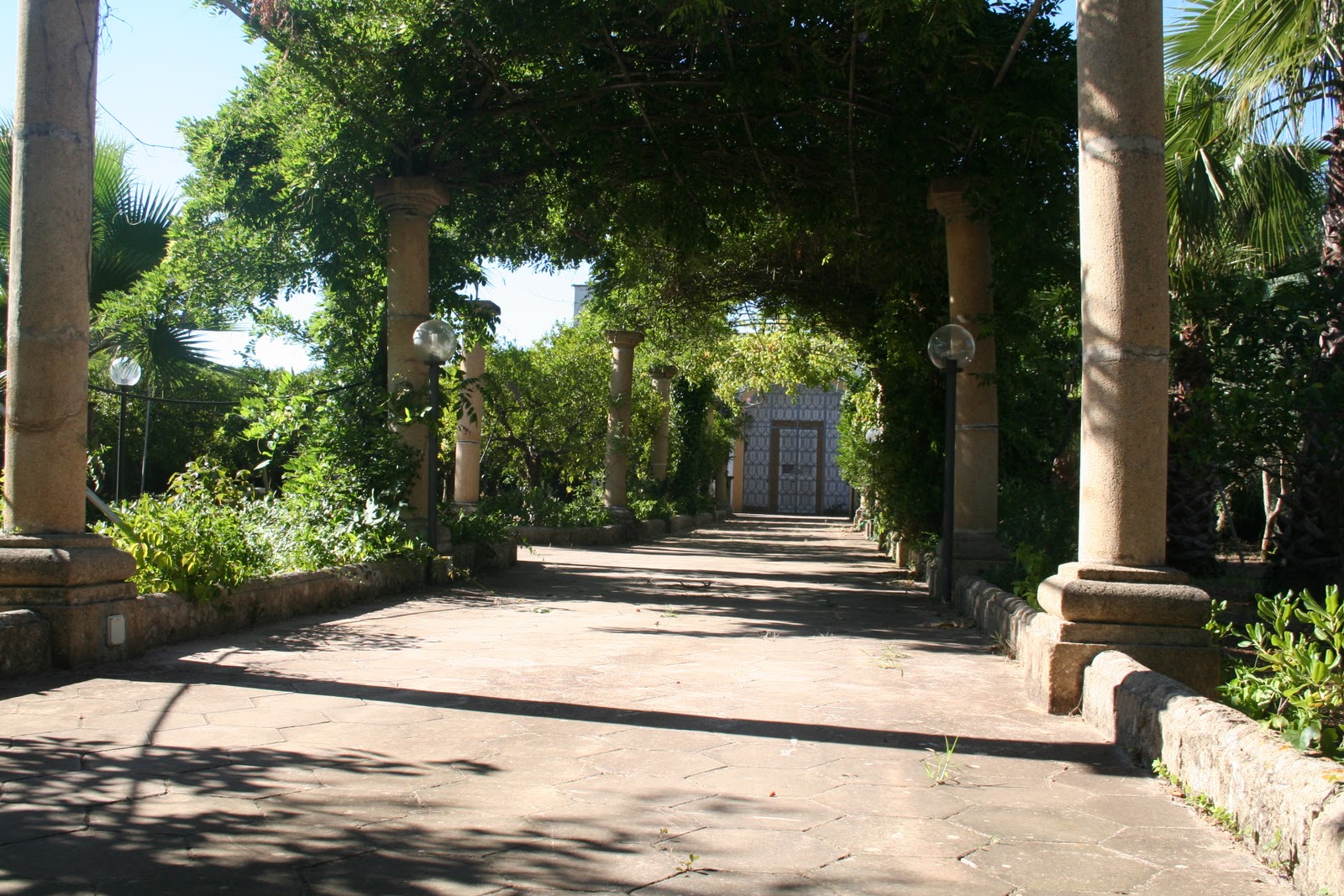 Villa San Vincenzo: James Gallimore - Pictures of the Garden