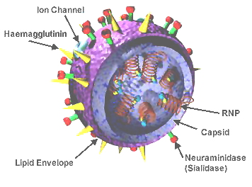 Definisi Virus | BIOLOGIPEDIA