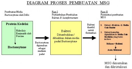 Tahapan Pembuatan MSG | BIOLOGIPEDIA