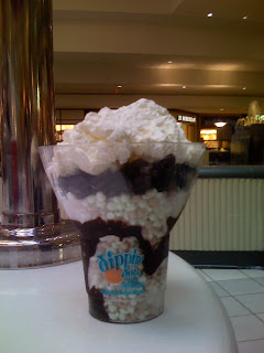Sean's blog, its about time.: New Sundae's and Floats for Dippin' Dots.