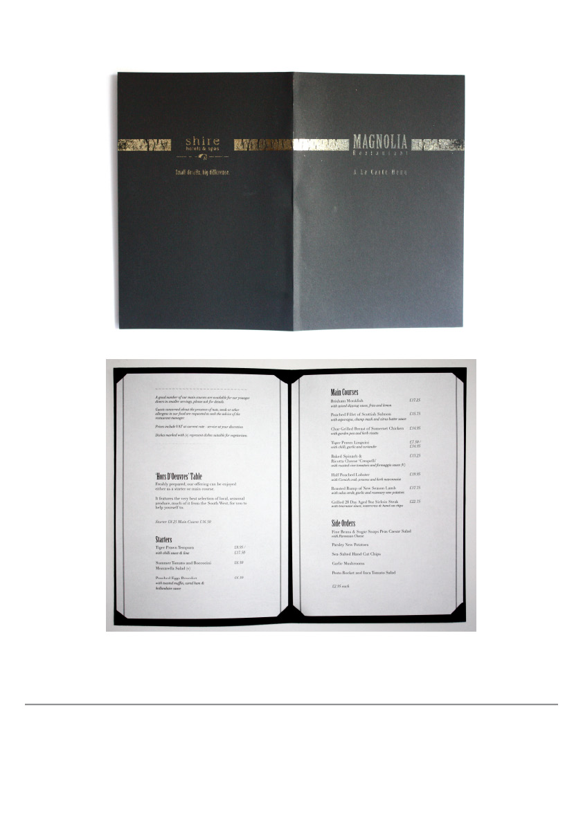 Design Practice: December 2010