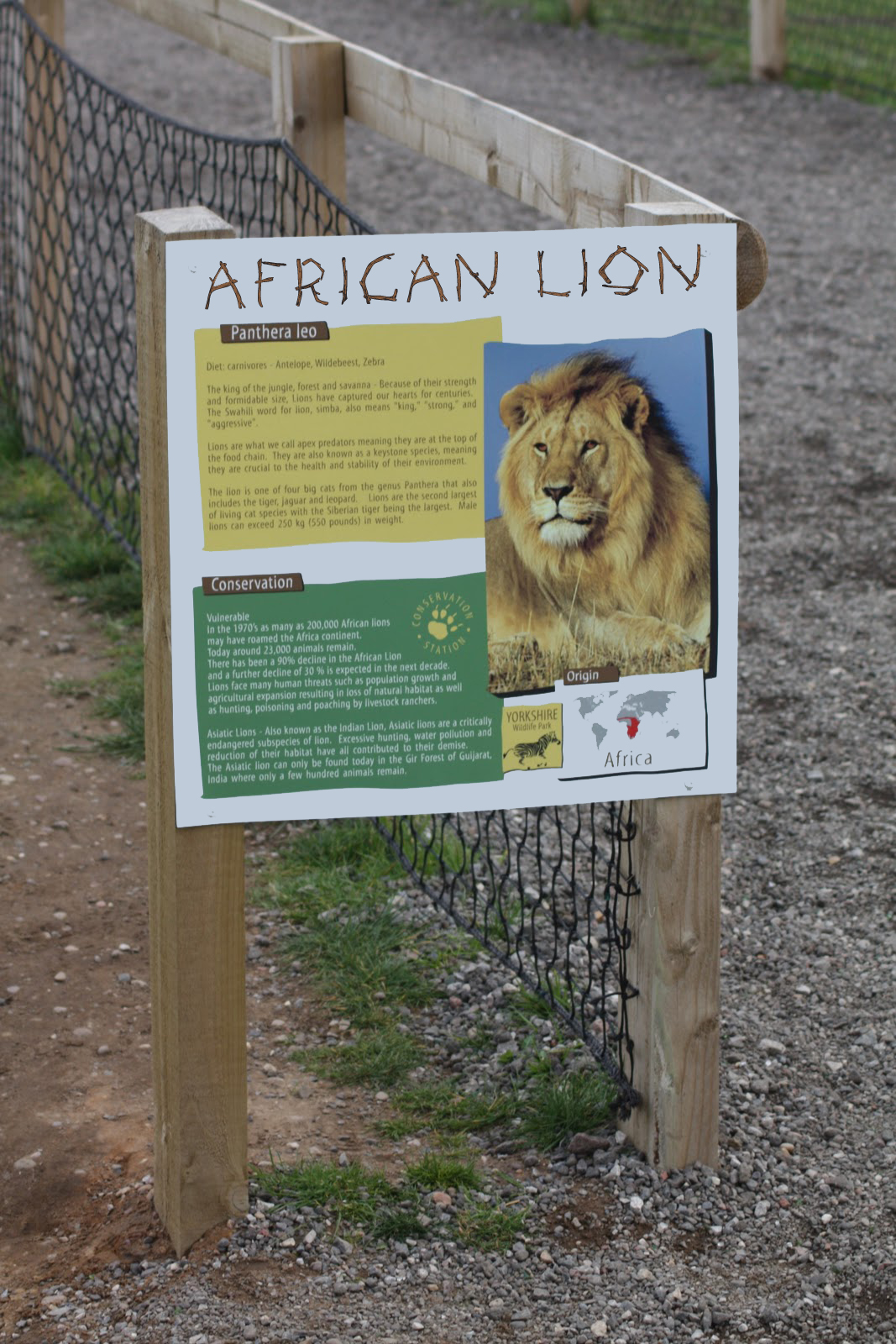 Design Practice: December 2010