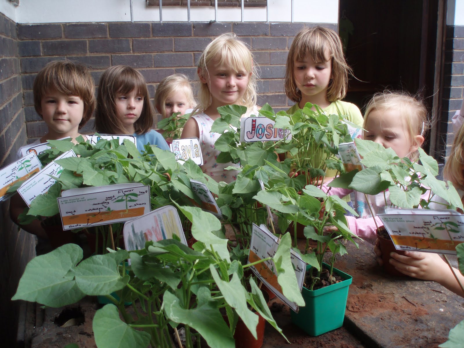 Sugar Tots Pre Primary School