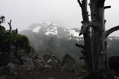 The Road to Cloud Cap Trailhead