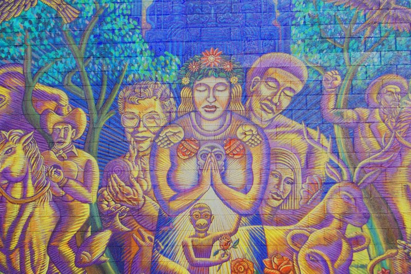 DIGITAL MEDIA & COMMUNITY ENGAGEMENT: PAUL BOTELLO