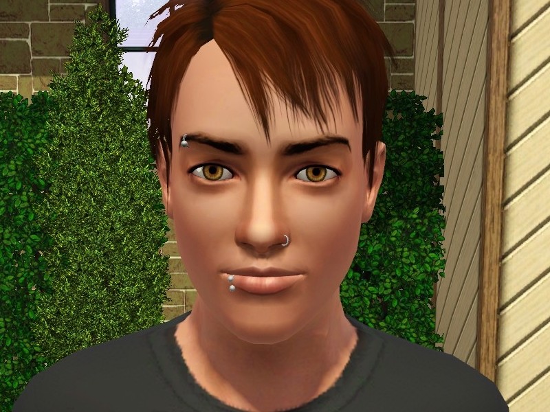 My Sims 3 Blog: Layerable Piercing Set by Winry