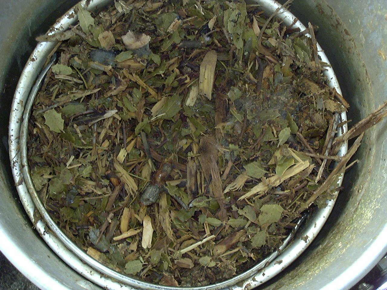 Mad Bioneer: Spore Mass Slurry