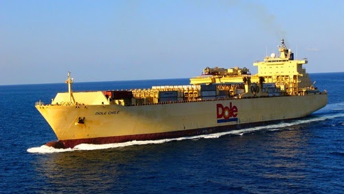Maximizing Progress: MV Dole Chile ~ Specialized Banana Boat!