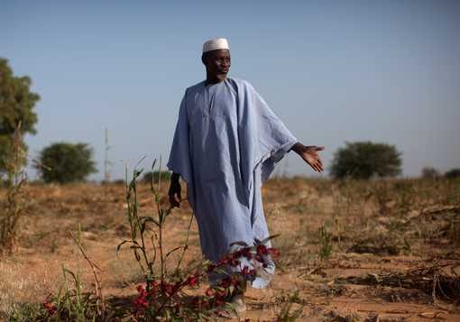 Maximizing Progress: Africa's Landlost ~ Powerless Farmers Displaced