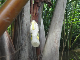 "Doon Po Sa Amin : LAKSOY , Ato Ini , Kadyawon Ta": The Body