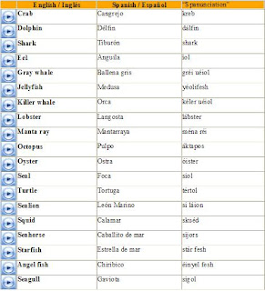 Animals: Vocabulary: Sea Animals (Animales del mar)