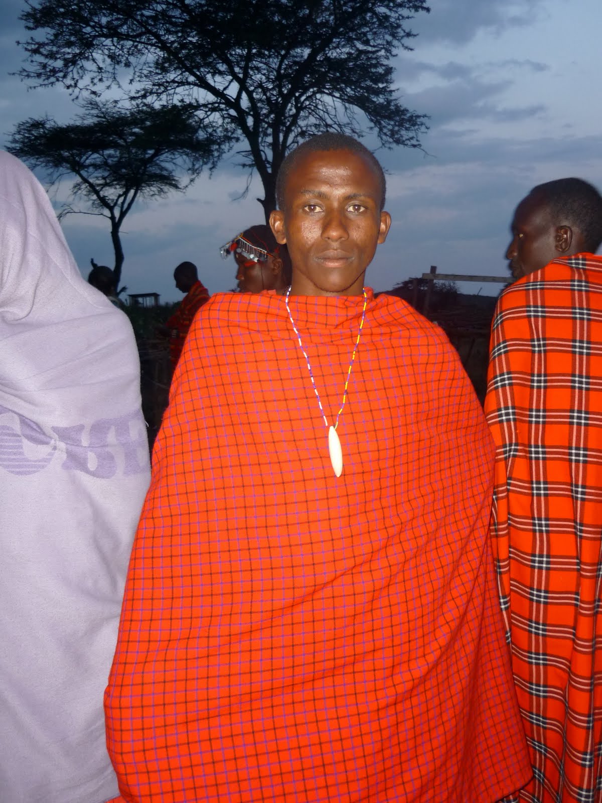 Kenya!: Lions and Wildebeests