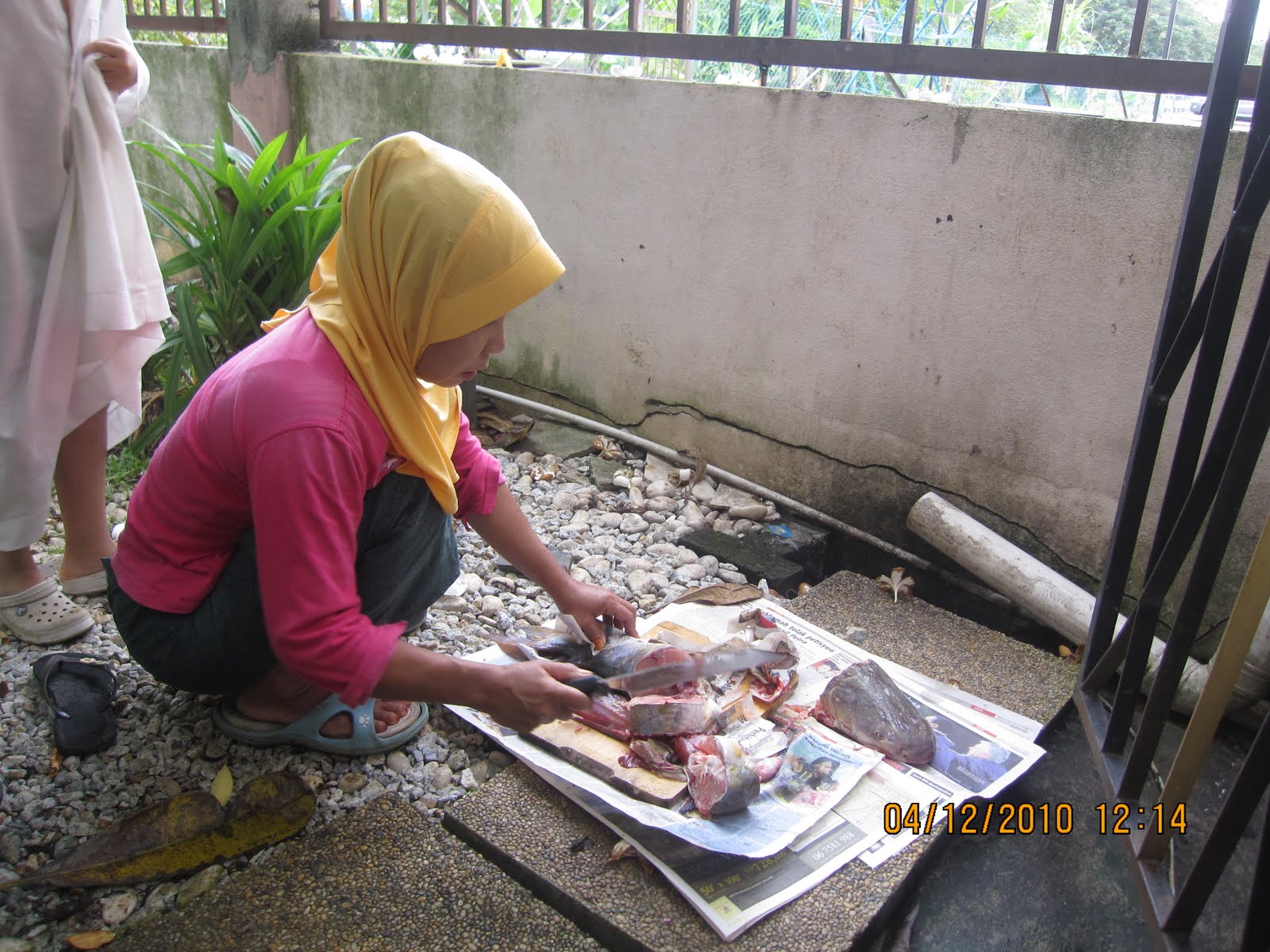 Yan's Family, Frens, Travel, And Food Journal: Hasil Tangkapan kali ke 2..