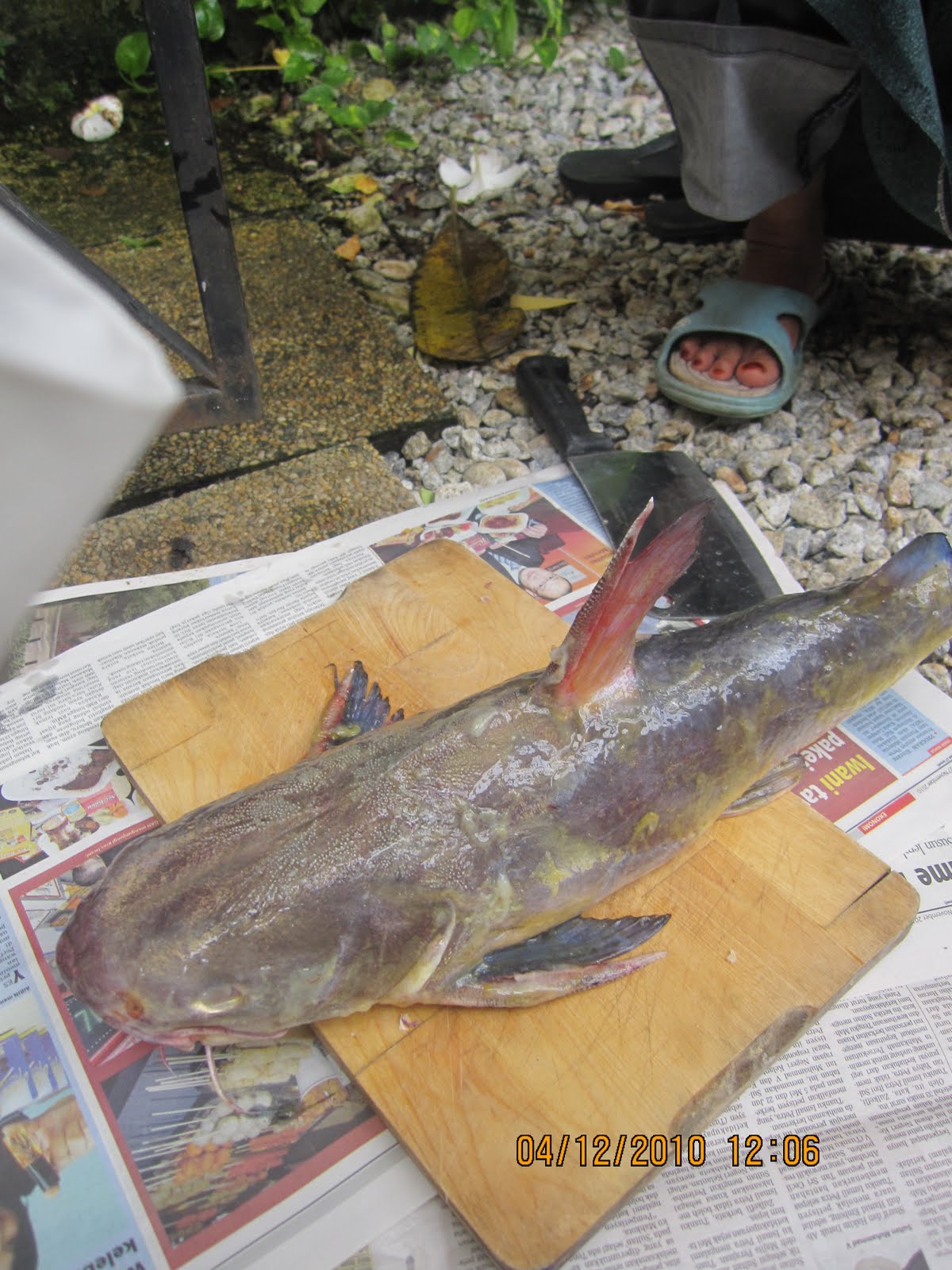 Yan's Family, Frens, Travel, And Food Journal: Hasil Tangkapan kali ke 2..