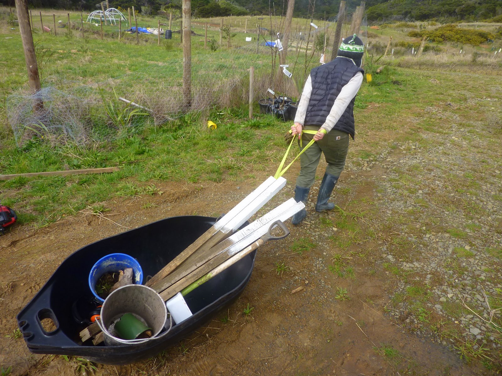 twinkers&beeps: one of the many uses for a mussel buoy