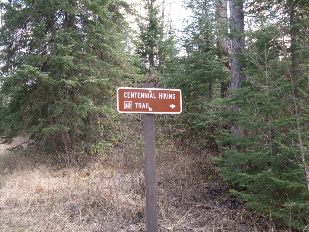 Loon Lake Tales: New Hiking Trail