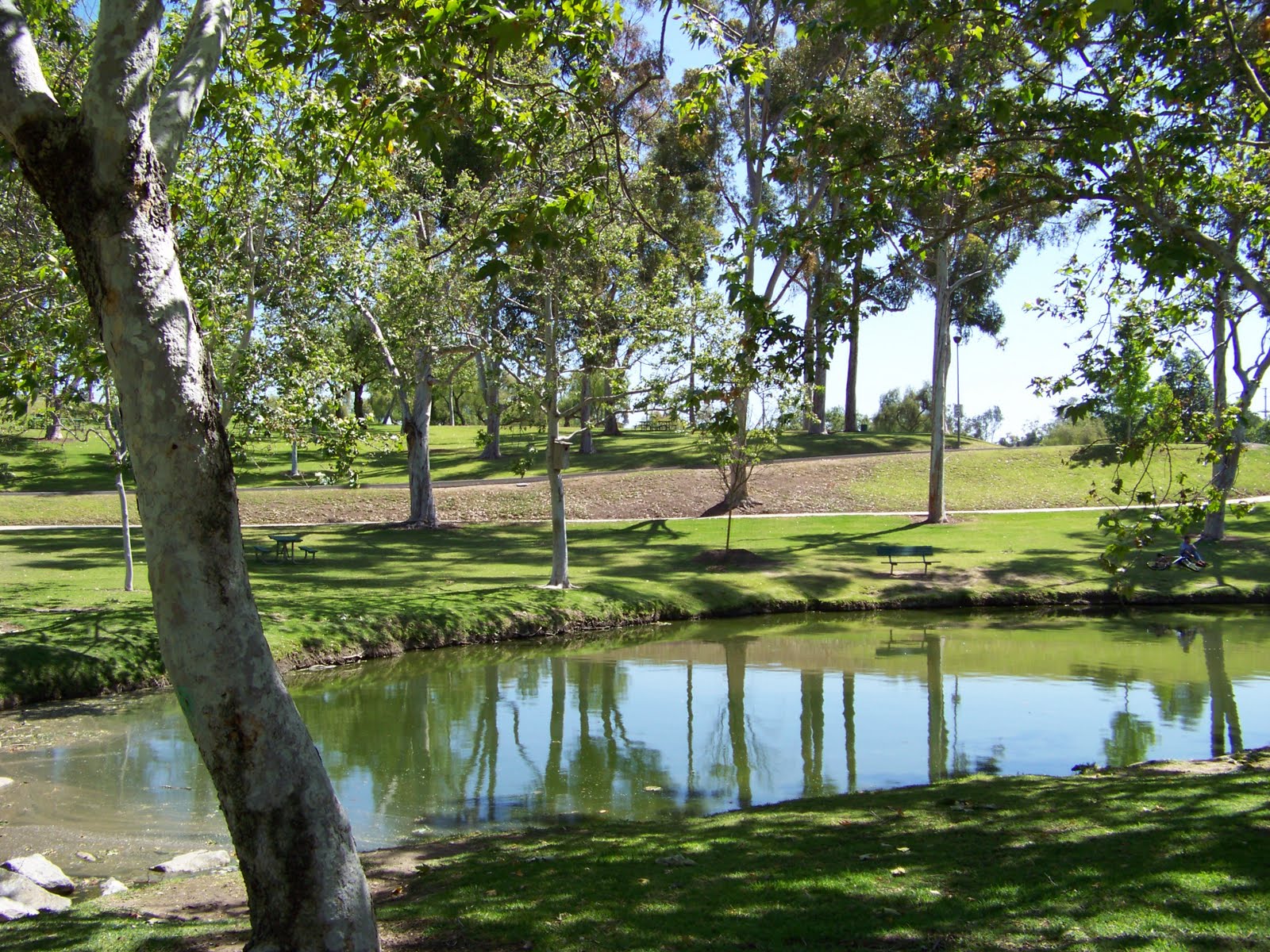 OC Birder Girl: Spring in Craig Regional Park