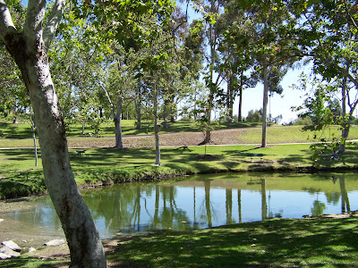 OC Birder Girl: Spring in Craig Regional Park