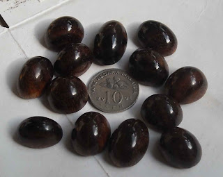 Teras Gemunggal: Pokok gemunggal